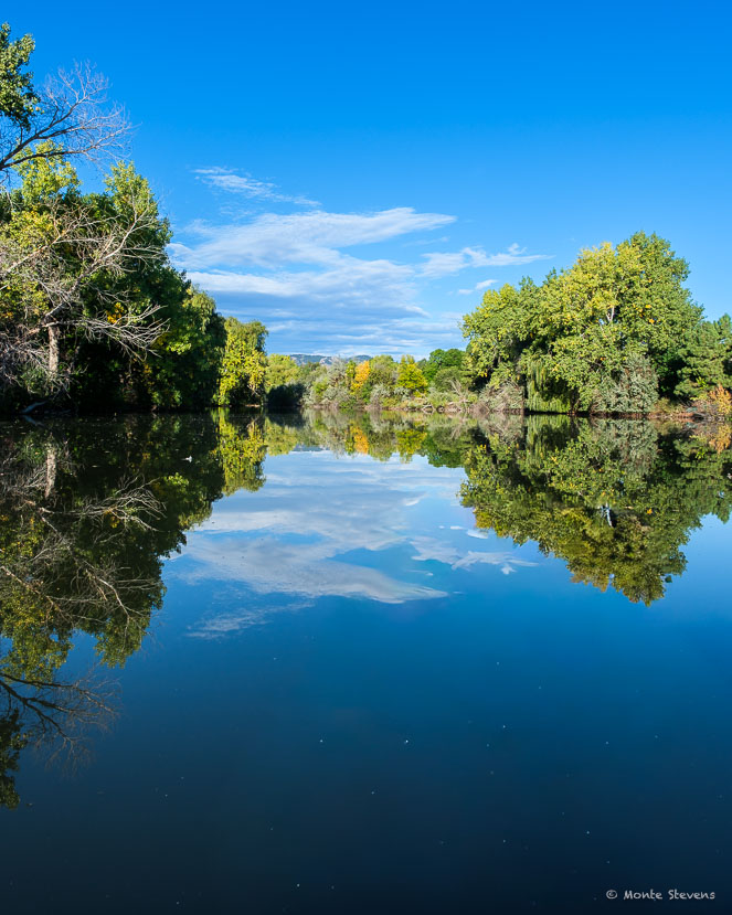 Without the Desire – Monte Stevens Blog